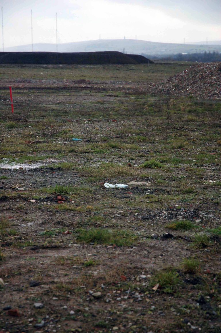 Ashton Moss – Modern Mooch