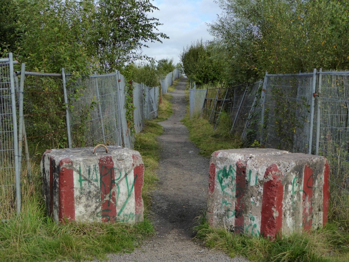 Ashton Moss – Expo 2025 – Modern Mooch