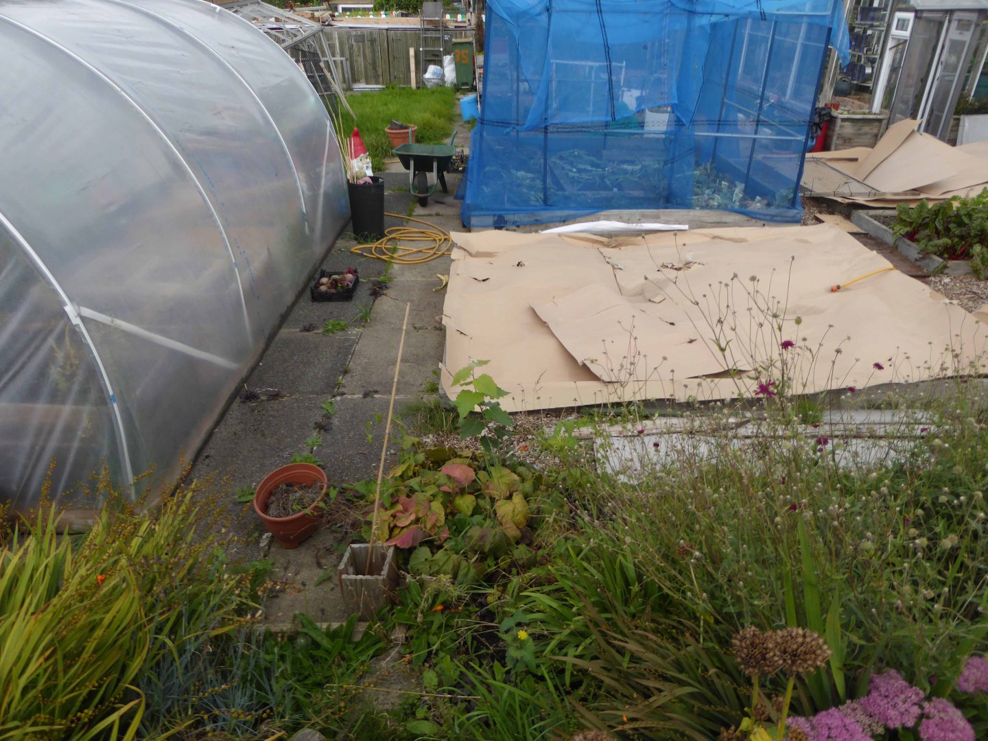 Allotments – Abbey Hey Manchester – Modern Mooch