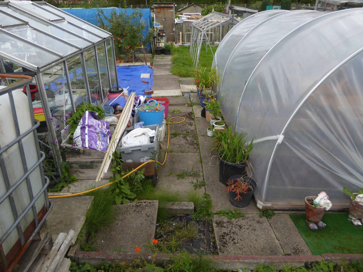 Allotments – Abbey Hey Manchester – Modern Mooch