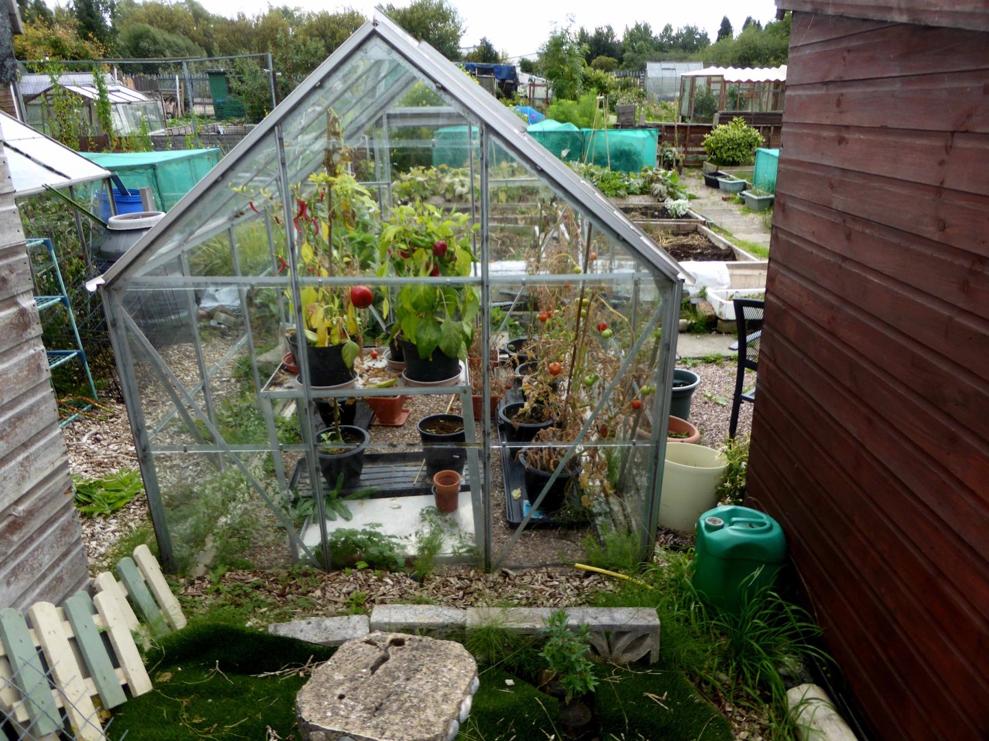 Allotments – Abbey Hey Manchester – Modern Mooch