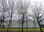 Ten Acres Lane Again – Manchester – Modern Mooch