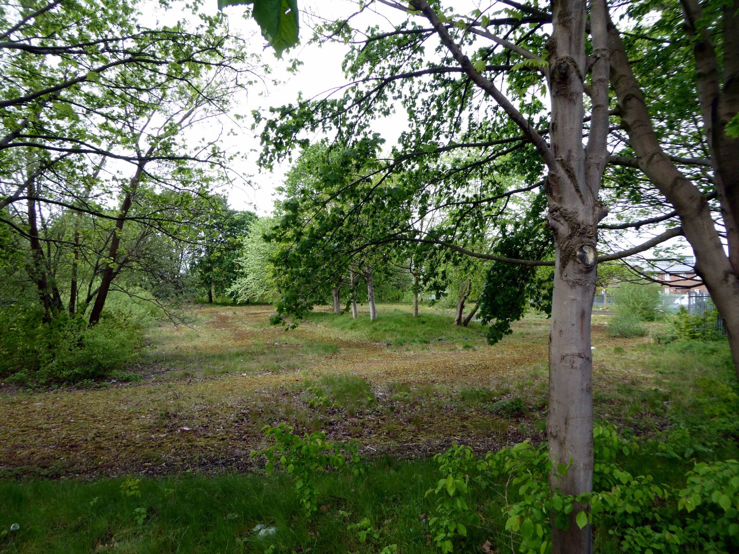 Ten Acres Lane Again – Manchester – Modern Mooch