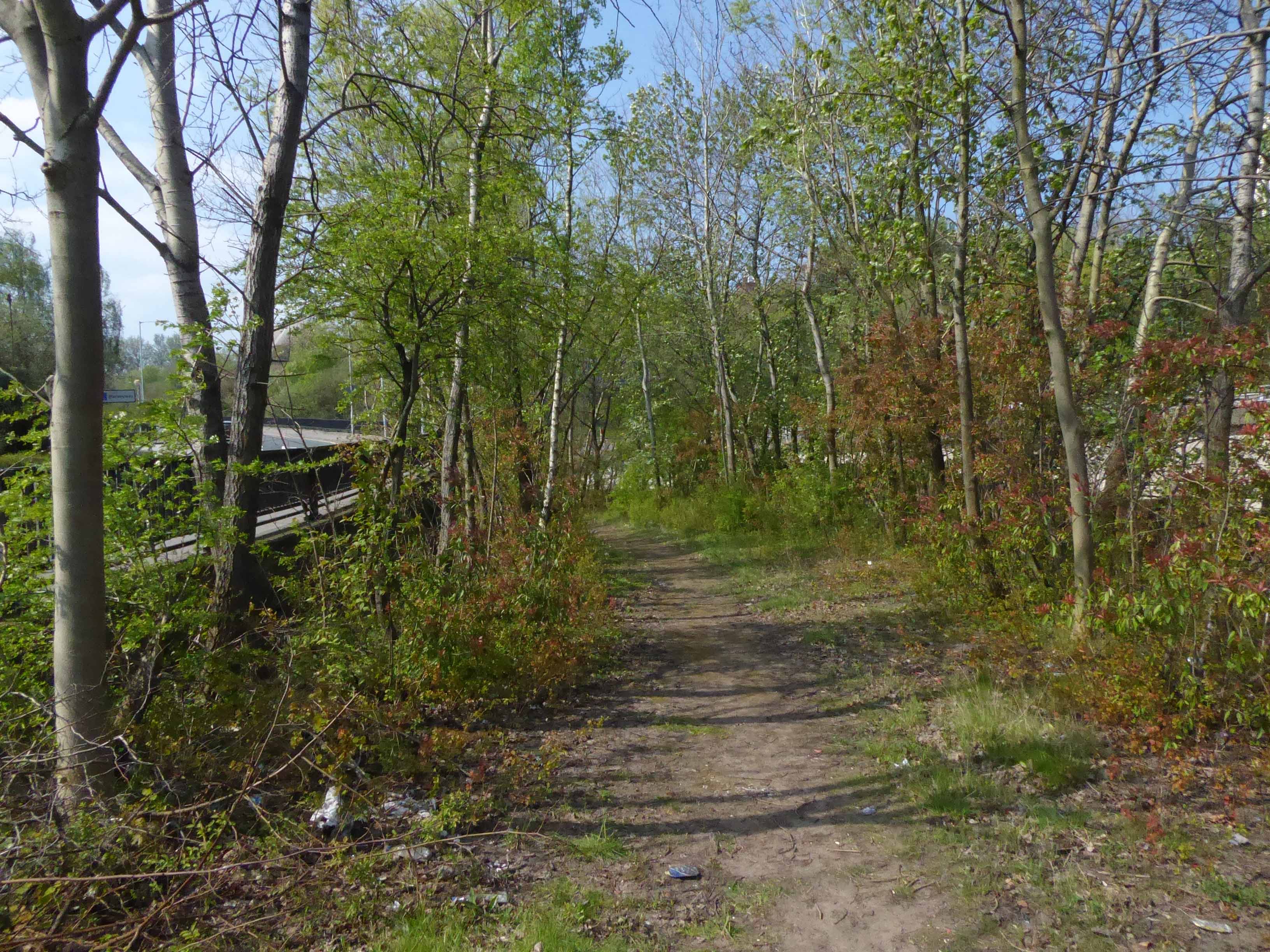 Concrete Island – Stockport – Modern Mooch