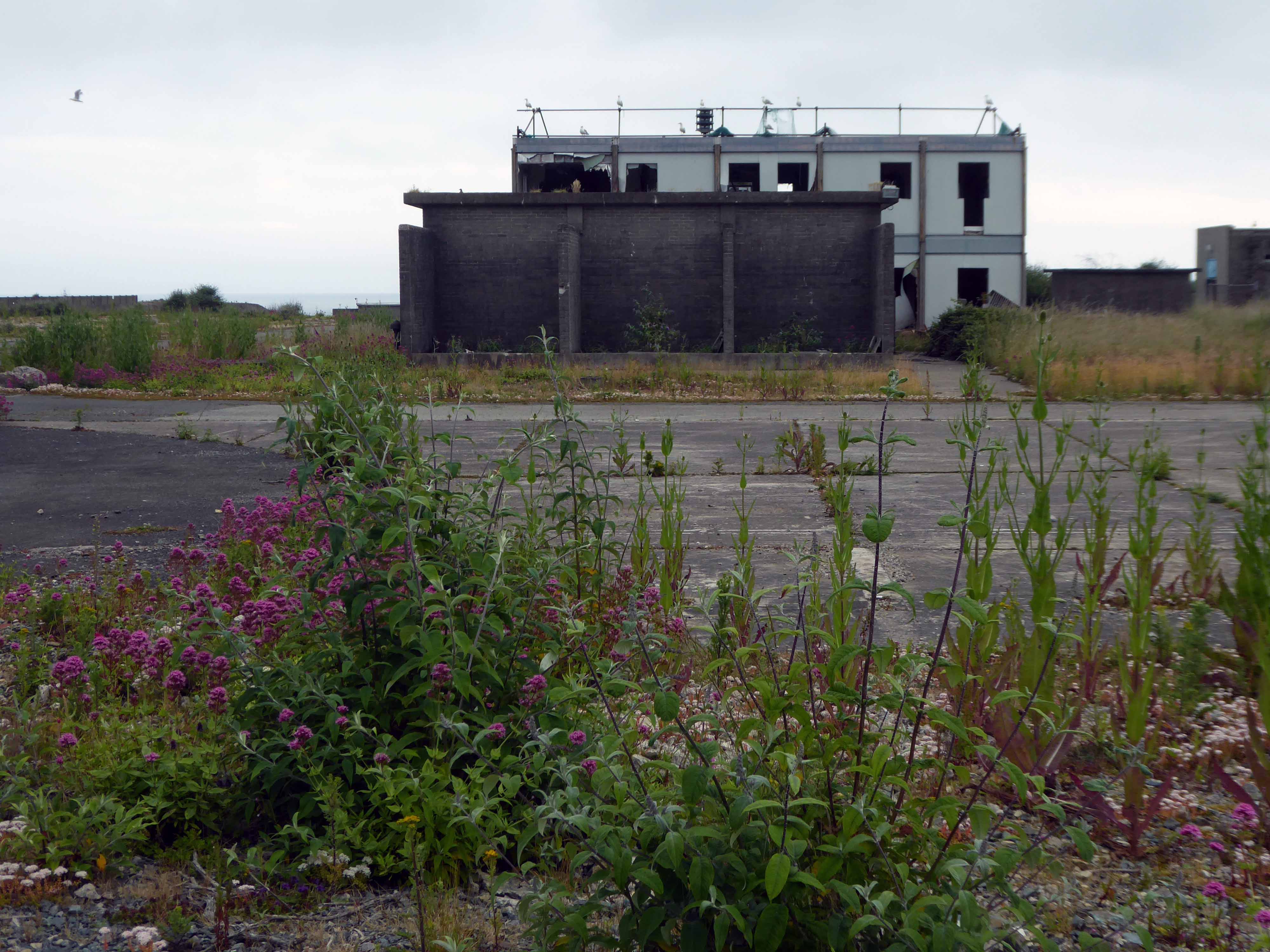 Octel Amlwch – Exteriors – Modern Mooch