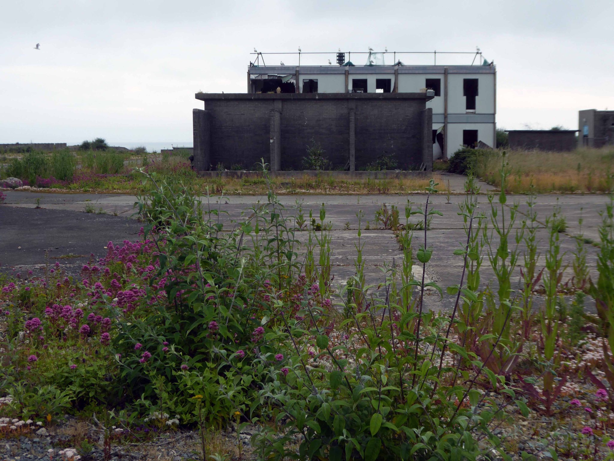 Octel Amlwch – Exteriors – Modern Mooch