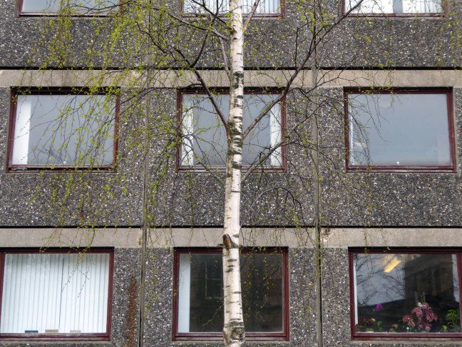 Adam Smith Building – Glasgow – Modern Mooch