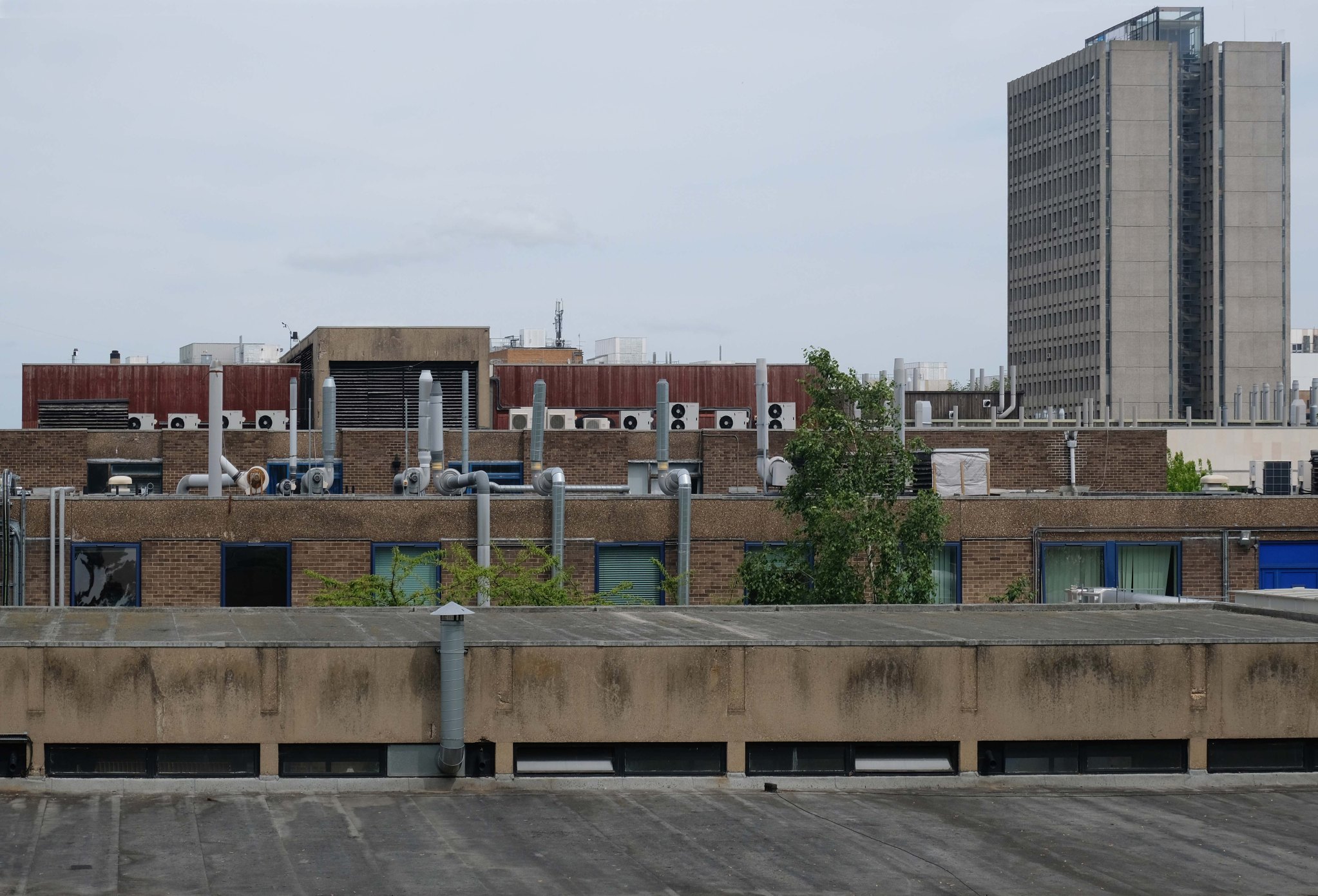 The University of Nottingham – Modern Mooch