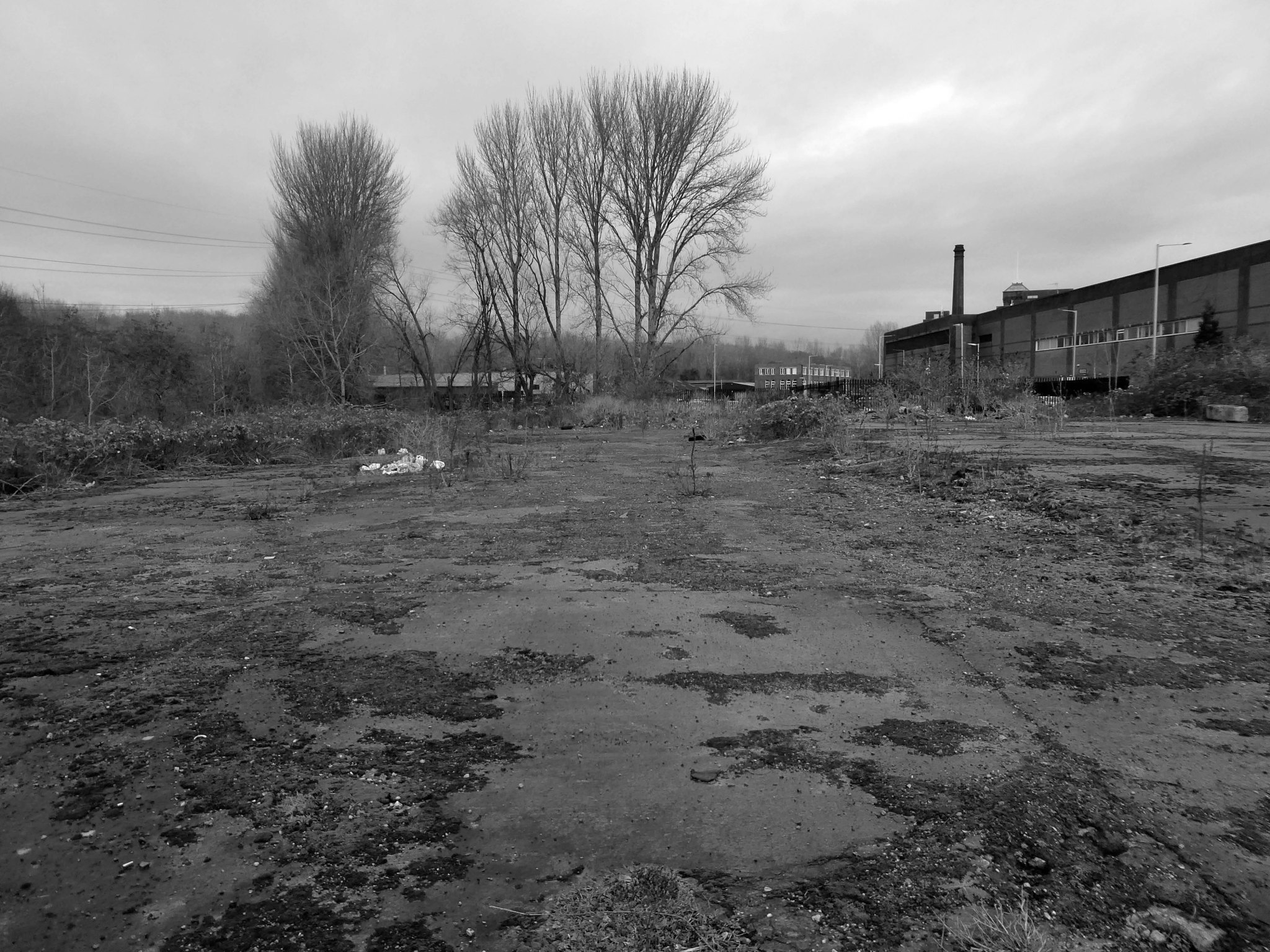 Portwood – Modern Mooch