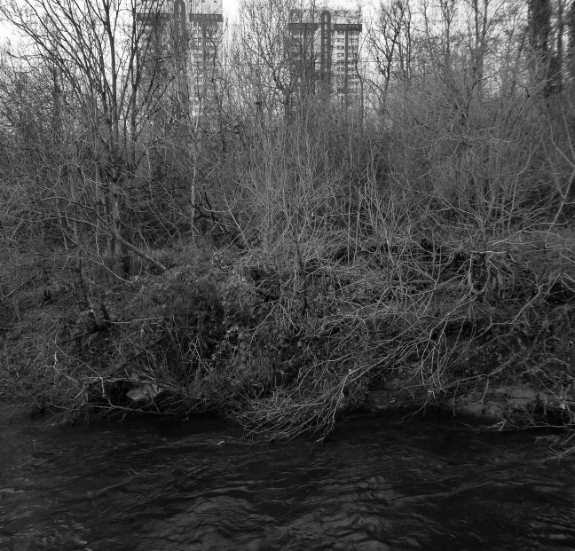 Portwood – Modern Mooch