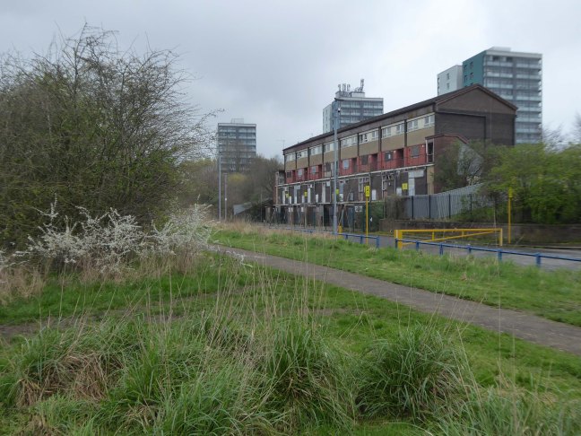 Collyhurst Cheetham Circular – Modern Mooch