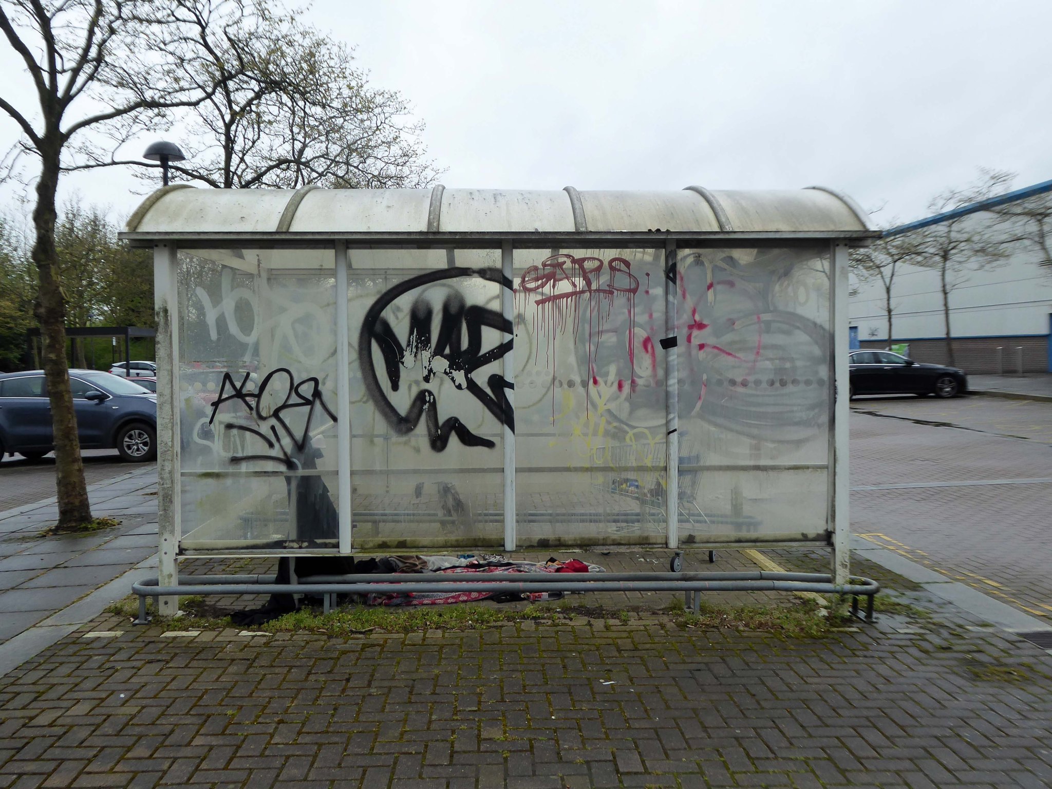 Modern Mooch – in the modern manner