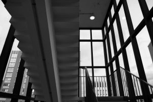 Roscoe Building – Modern Mooch