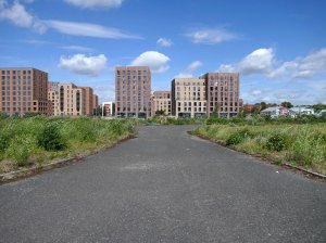 Pomona Island 2025 – Modern Mooch