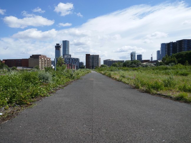 Pomona Island 2025 – Modern Mooch