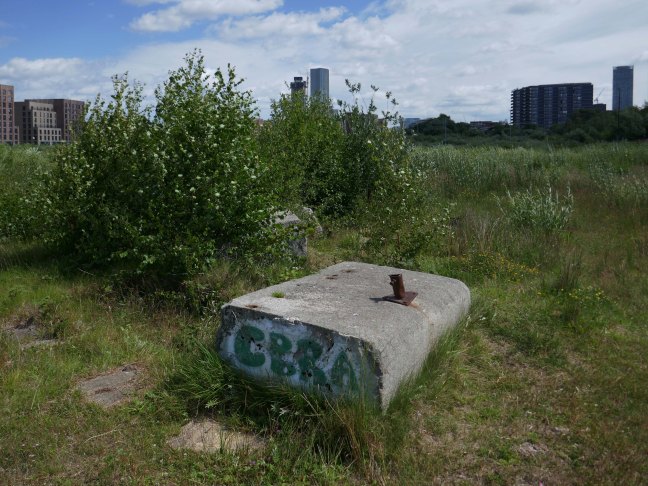 Pomona Island 2025 – Modern Mooch